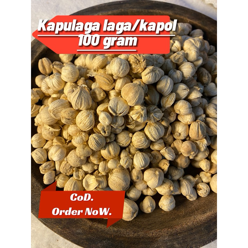 Jual Kapulaga utuh kering 100gr / kapol putih/ cardamon / rempah ...