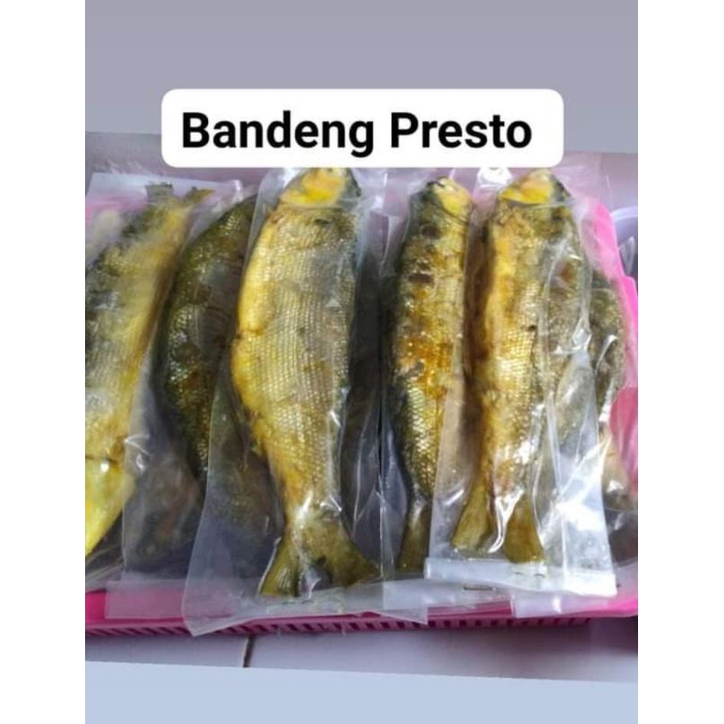 Jual KIRIM INSTAN IKAN BOLU | 1 EKOR IKAN BANDENG PRESTO | Shopee Indonesia
