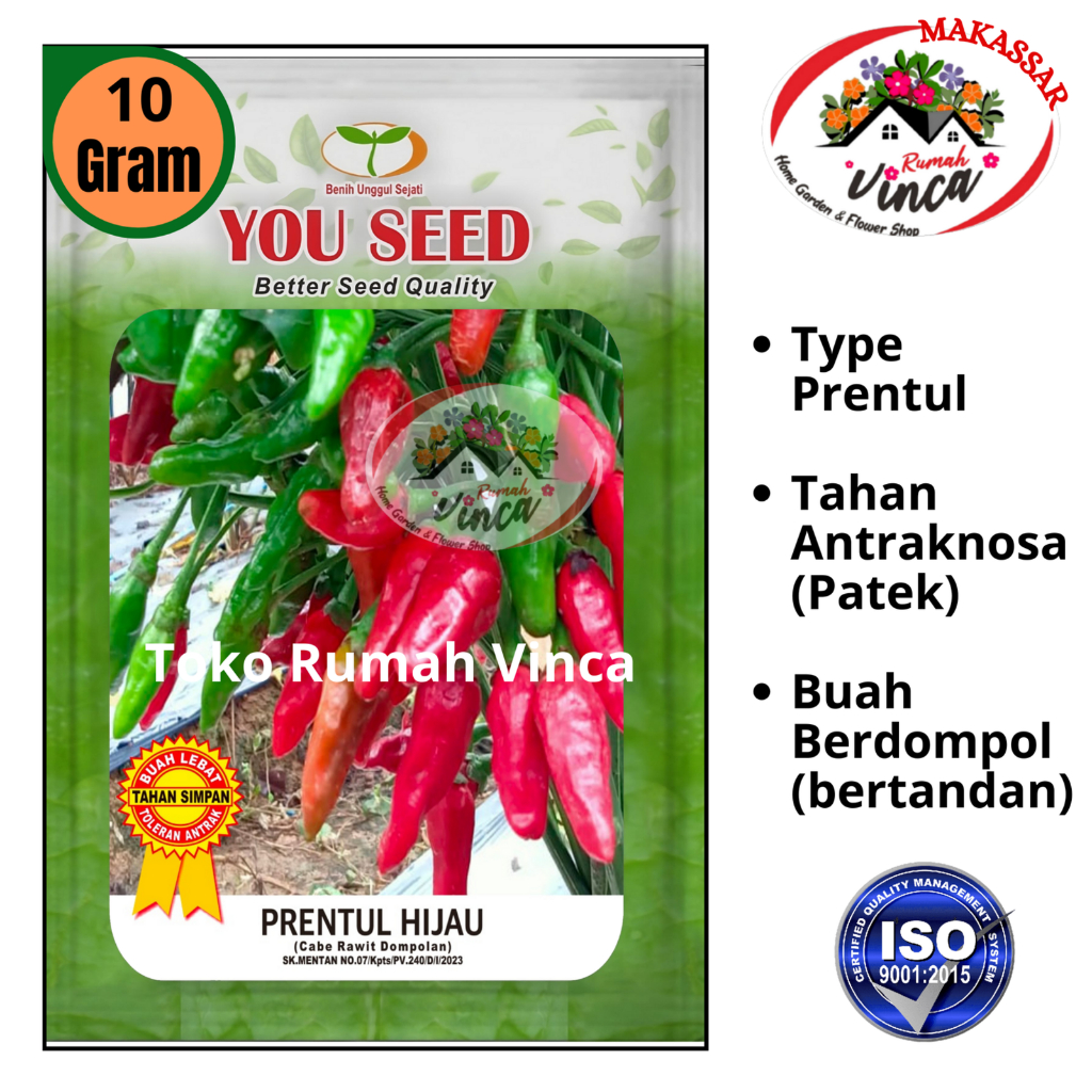 Jual Benih Cabe Rawit Setan PRENTUL SUPER 10g setara 2000 butir You ...
