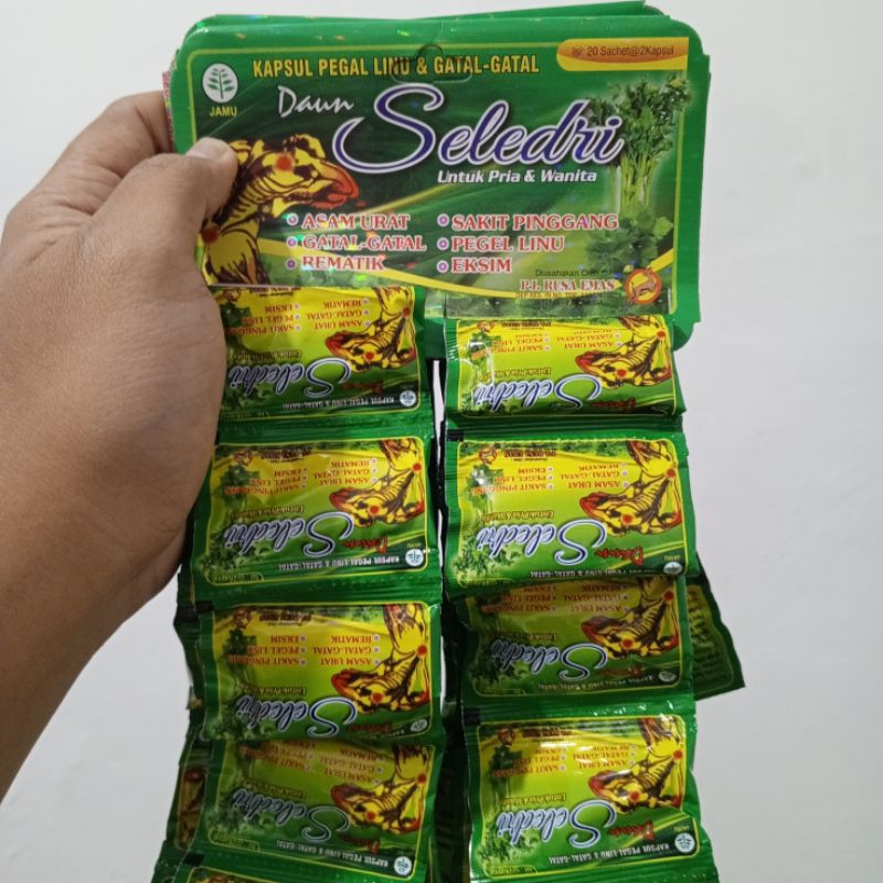 Jual kapsul daun seledri obat asam urat dan kadas kurap | Shopee Indonesia