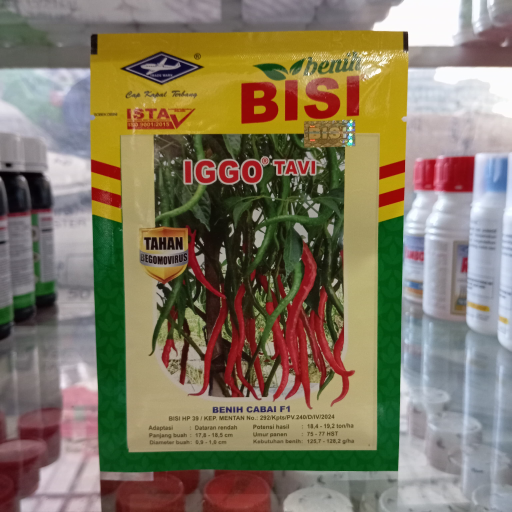 Jual Benih Cabe Keriting IGGO TAVI Cap Kapal Terbang Tahan Virus 10 Gram | Shopee Indonesia