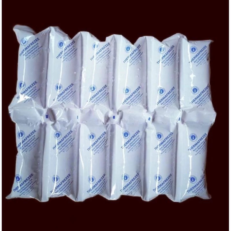 Jual ICE GEL ISI UNTUK PACKAGING ESKRIM AGAR LEBIH TAHAN LAMA | Shopee ...