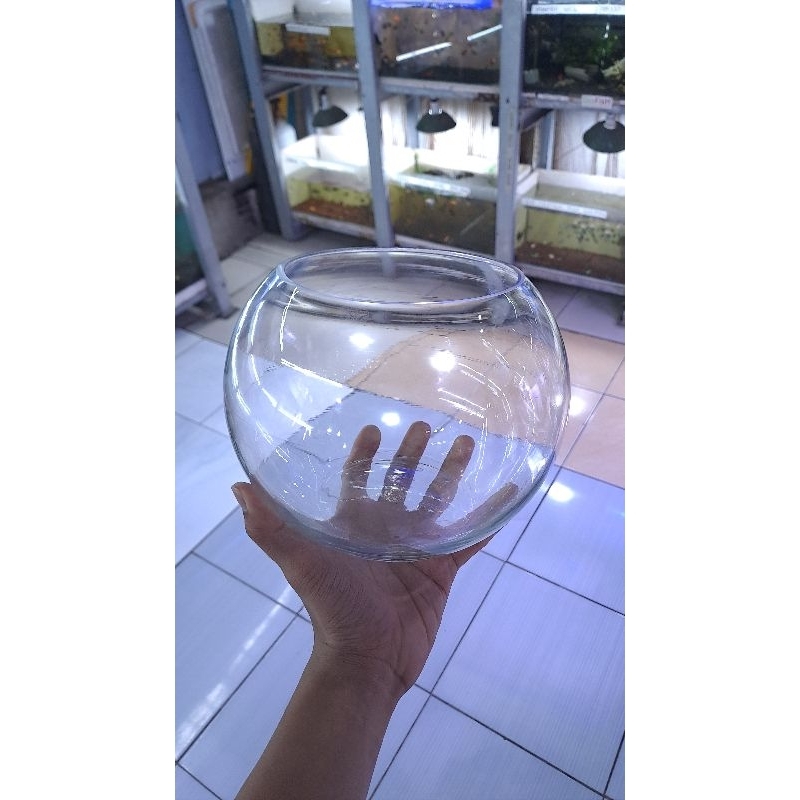 Jual AQUARIUM BULAT POLOS SEDANG / FISH BOWL POLOS SEDANG MURAH ...