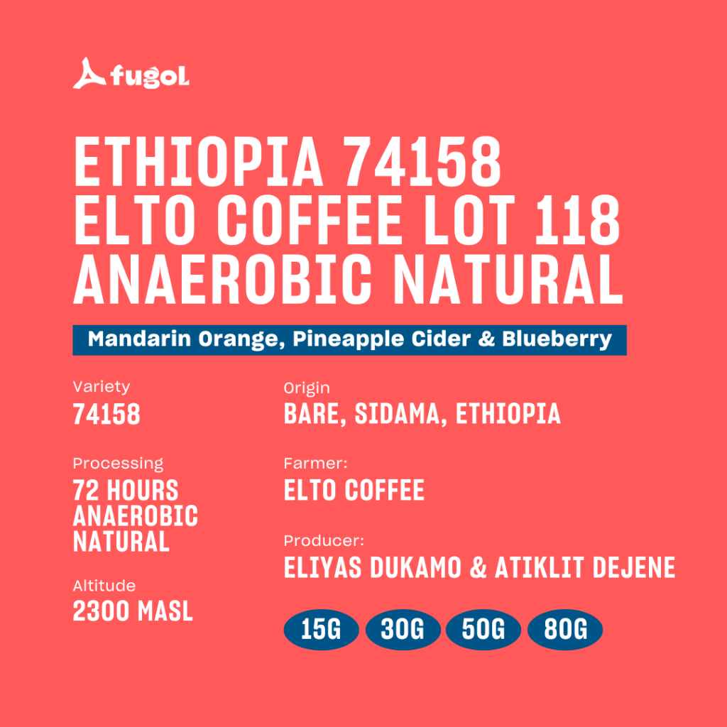 Jual Ethiopia 74158 Elto Coffee Lot 118 Anaerobic Natural Specialty ...