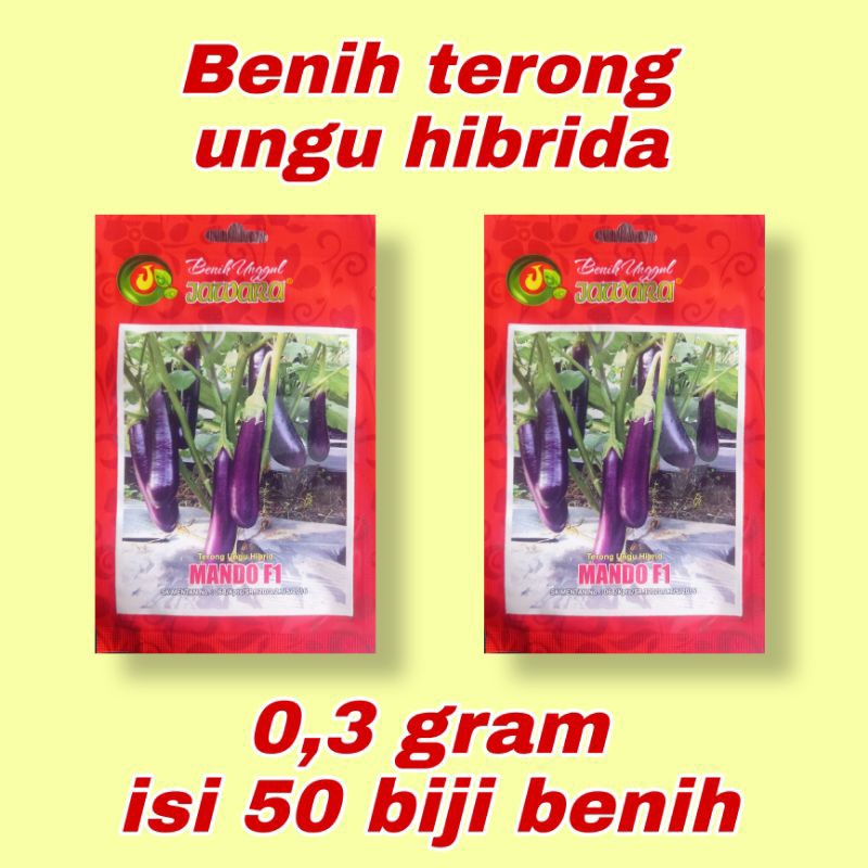 Jual bibit benih terong ungu hibrida MANDO f1 0.3 gram ( isi 50 biji benih ) | Shopee Indonesia