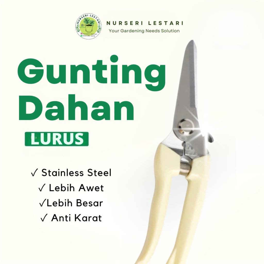 Jual Gunting Dahan (LURUS) Ranting Stek Pruning Stainless Steel Pruning Shears - Alat Potong ...