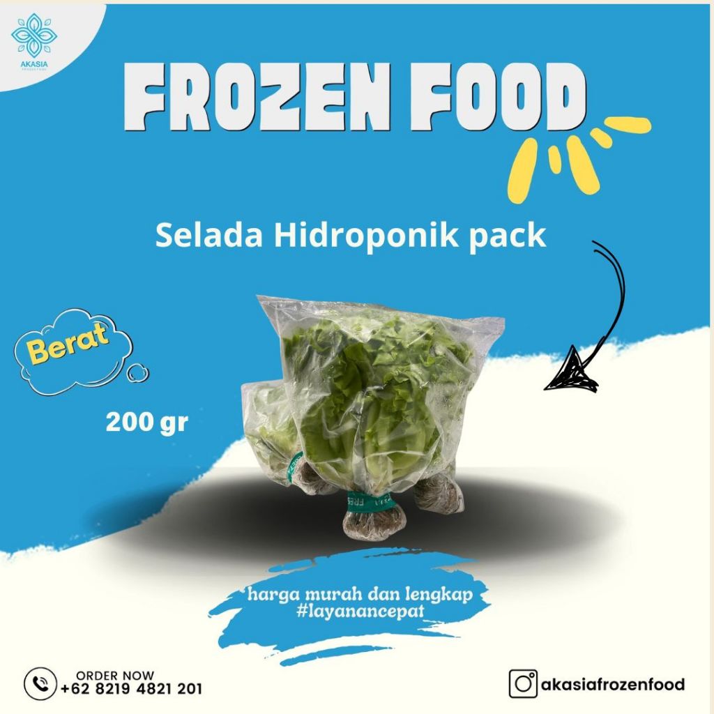 Jual Selada hidroponik per pack | Shopee Indonesia