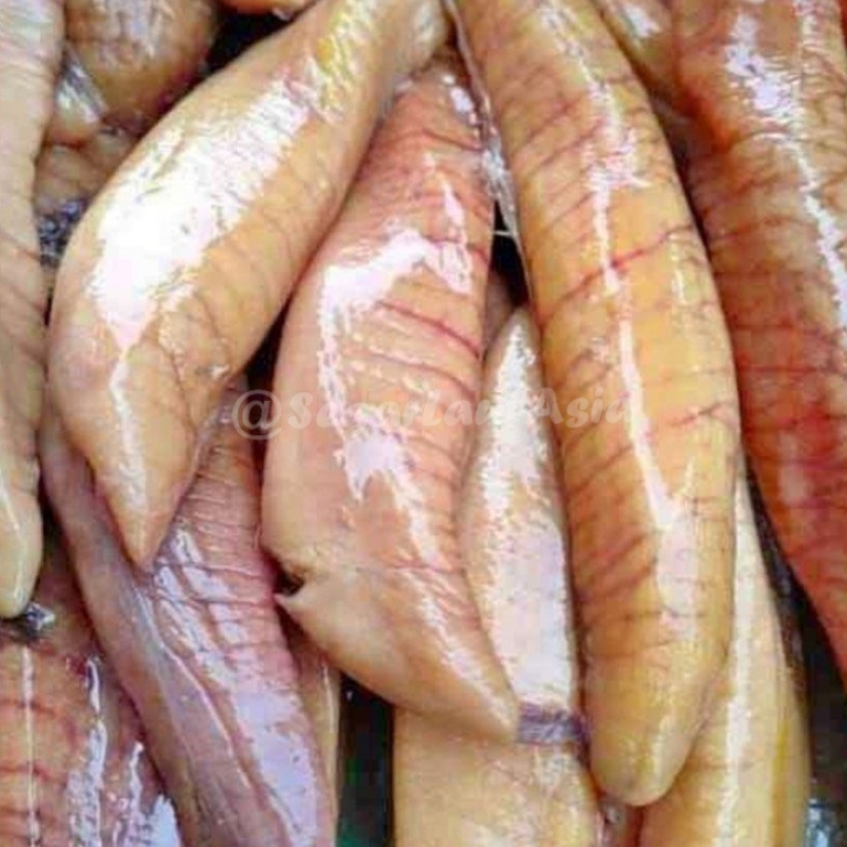 Jual Telur Ikan Tenggiri Telor Ikan Tenggiri Telur Tenggiri 1Kg ...