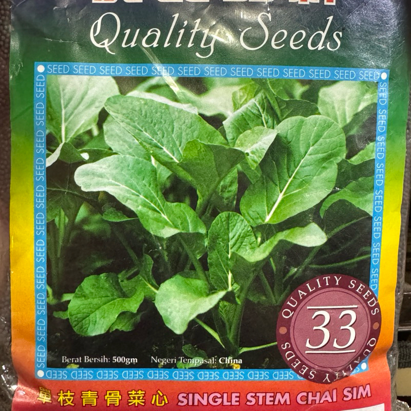 Jual Benih sawi hijau / sawi minyak / sawi cai sim 100 gram | Shopee ...