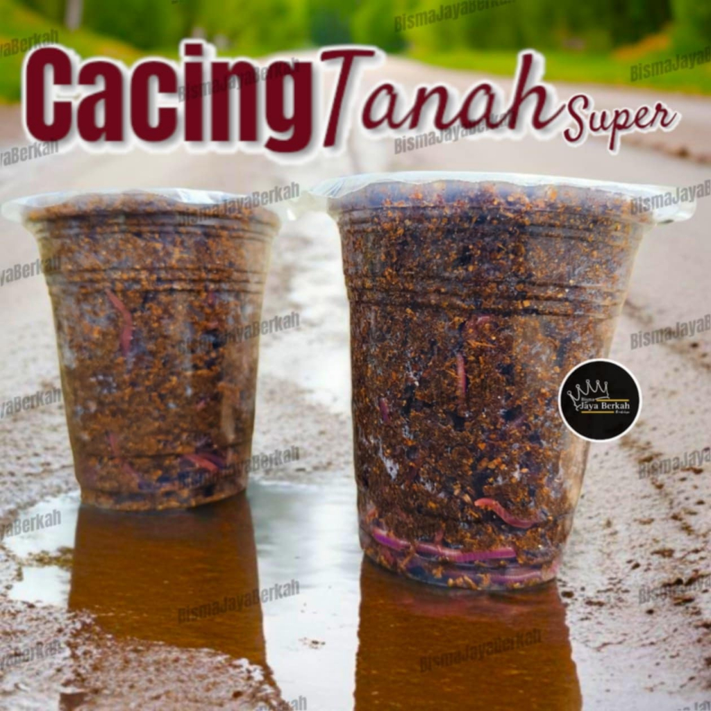 Jual Cacing Tanah Super kemasan Pakan Chana dan Burung | Shopee Indonesia