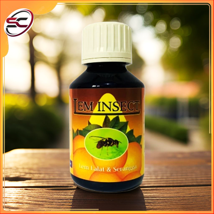 Jual LEM INSECT KEMASAN 75 ML - LEM LALAT DAN SERANGGA | Shopee Indonesia