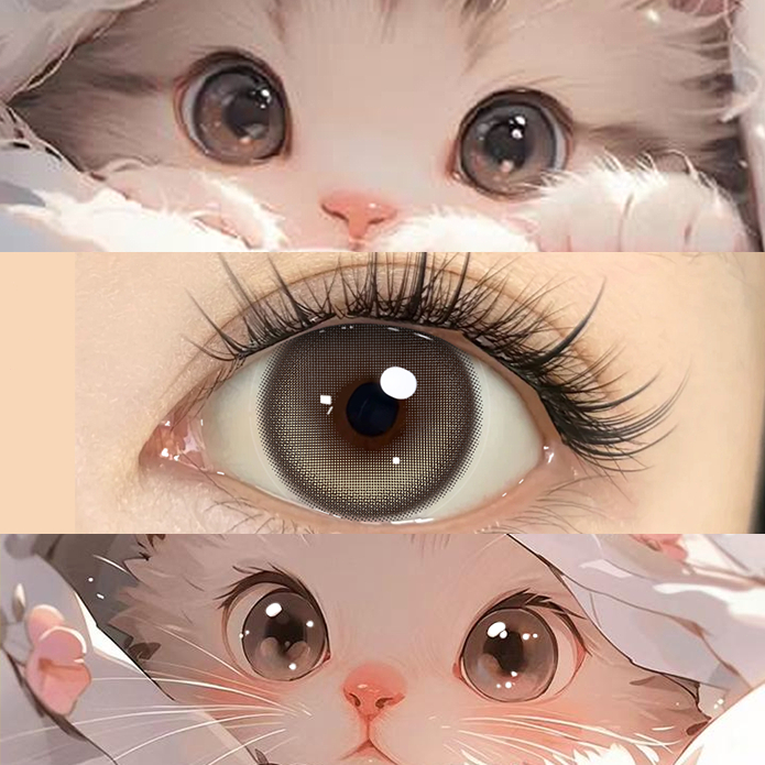 Jual [ IN SPOT ] MYSTICEYES SOFTLENS GOLDEN Brown COLORED LENSES 14.5mm ...