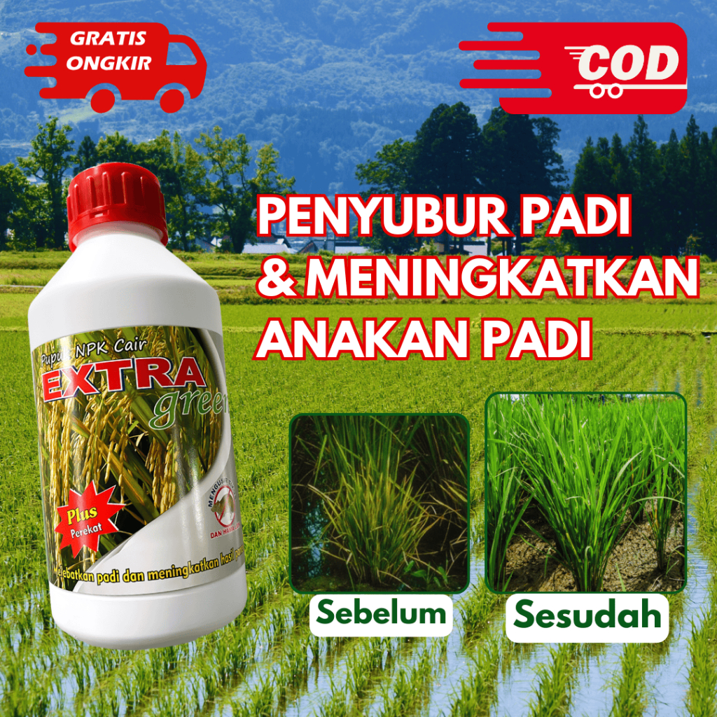 Jual ExtraGreen Padi Pupuk Pelebat Anakan Padi + ZPT Special Penambah Benih & Bobot Padi Plus ...