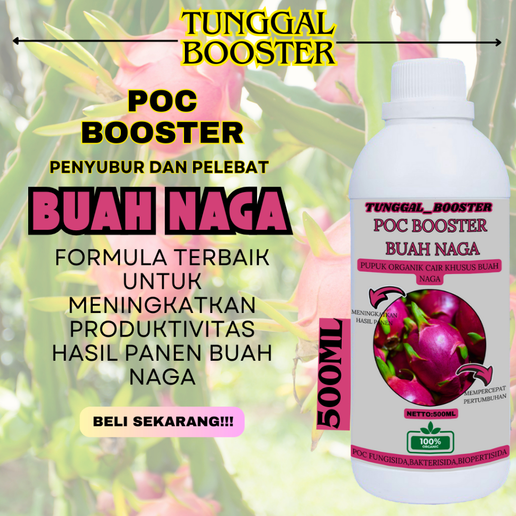 Jual Pupuk Organik Cair Tanaman Buah Naga Booster Pelebat dan Perangsang Buah Naga Premium ...