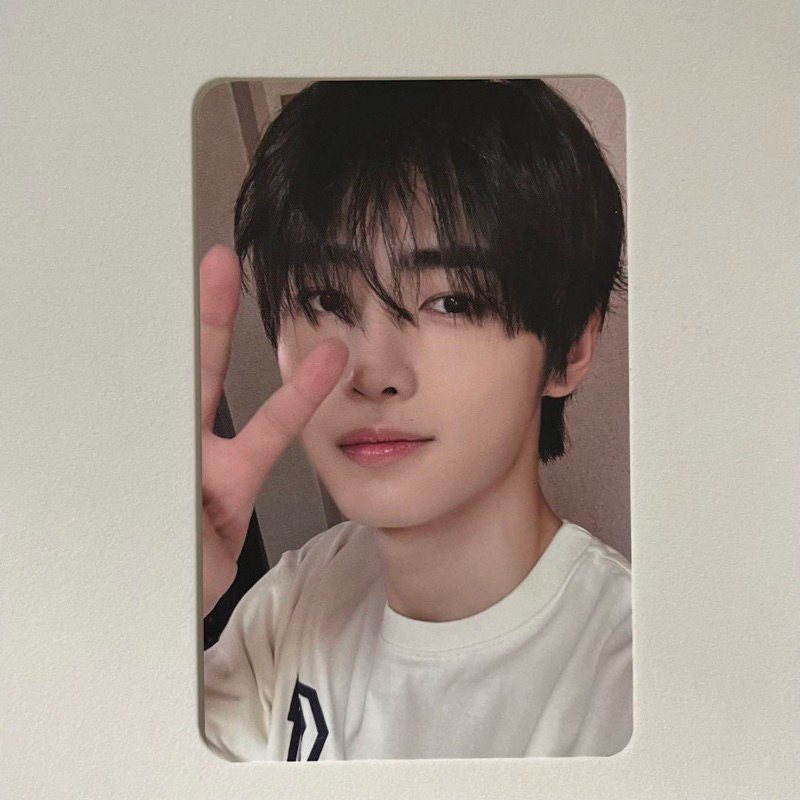 Jual [ READY ] Pc Sunghoon Official Wtl Engene Zone Enzone In Goyang ...