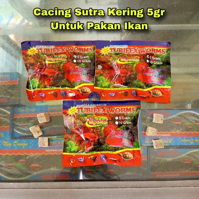 Jual Cacing Sutra / Casut kering / Caker / Tubifex Worms Kyoto 5gr ...