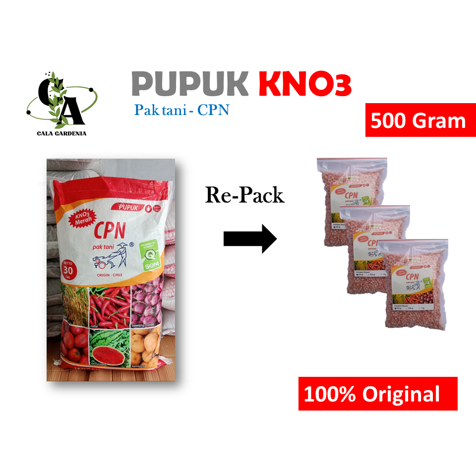 Jual PUPUK KNO3 PAK TANI CPN MERAH REPACK 500 GRAM TERMURAH MENINGATKAN ...