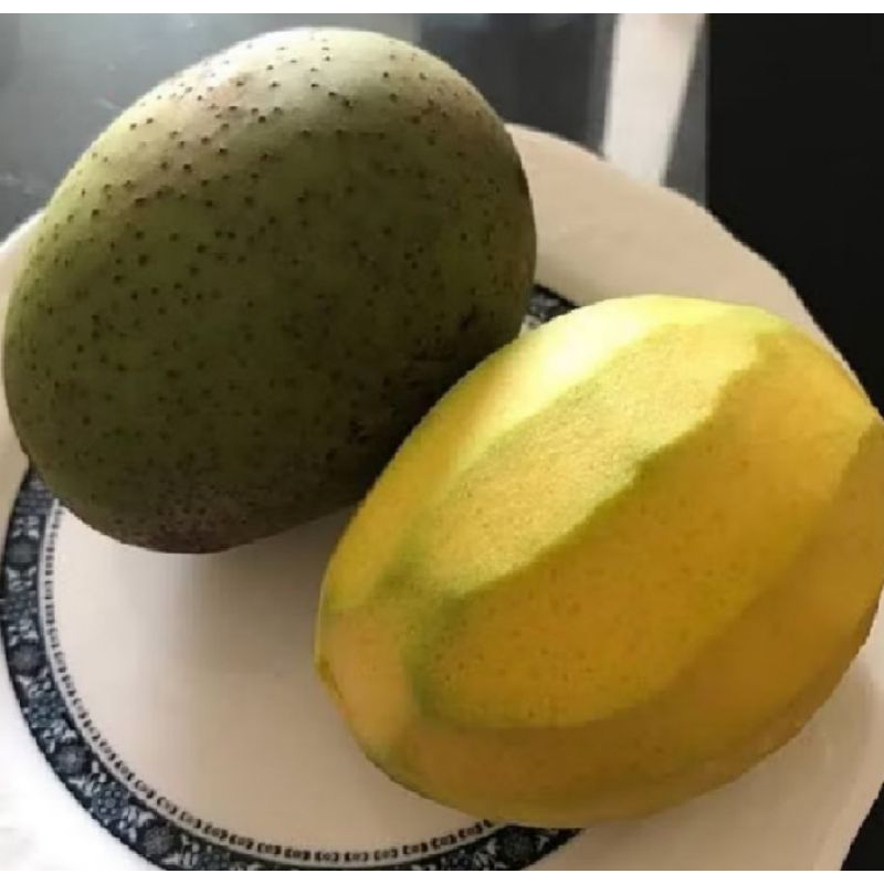 Jual BUAH MANGGA KWENI - PAKEL BACANG LIMUS harum manis fresh 1kg ...