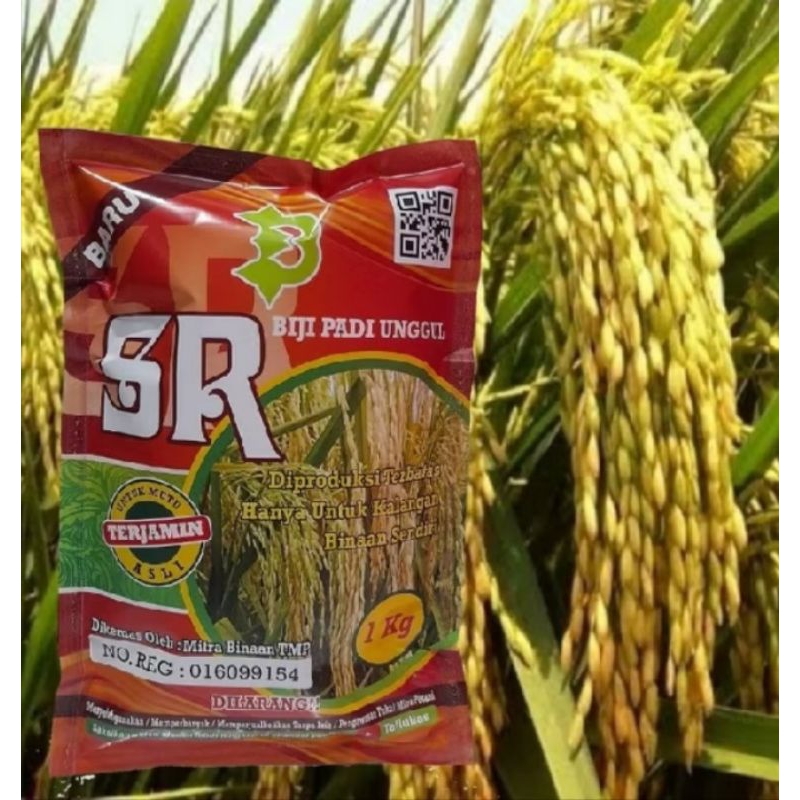 Jual Benih padi SR biji padi unggul kemasan per 1kg | Shopee Indonesia