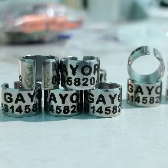 Jual TERBARU!! RING MERPATI DEWASA CUSTOM NAMA BAJA LASER BELAH ...