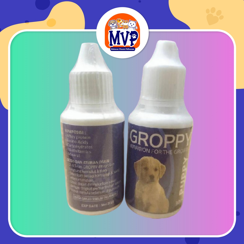 Jual Groppy 30Ml - Suplemen MultiVitamin Percepat Pertumbuhan Anak ...