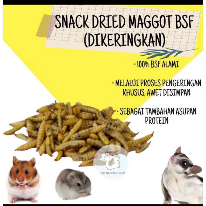 Jual Mealworm dried maggot larva kering BSF Sugar glider food | Shopee ...