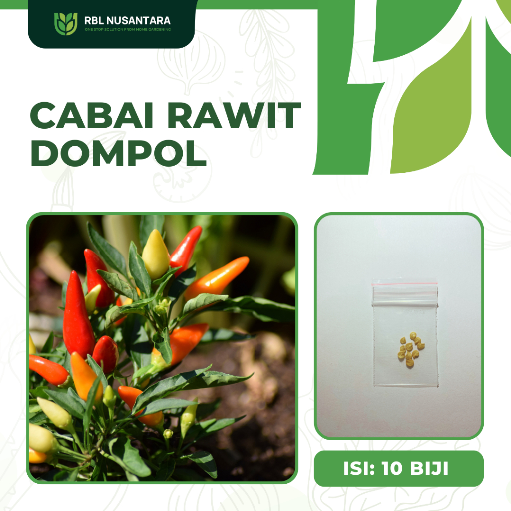 Jual BENIH SAYURAN - 10 Benih Cabai Rawit Dompol F1 | Shopee Indonesia