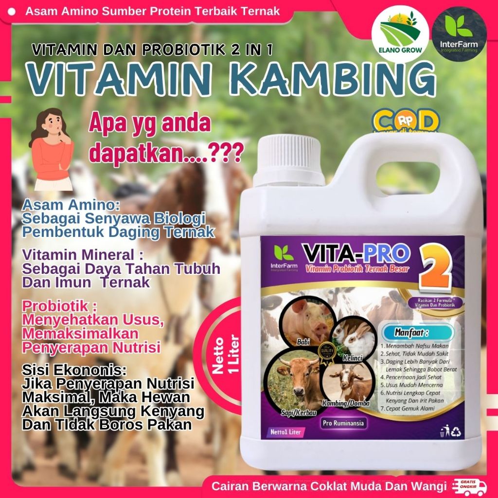 Jual Vitamin Kambing Cepat Besar, Pakan Kambing Cepat Besar, Vitamin ...