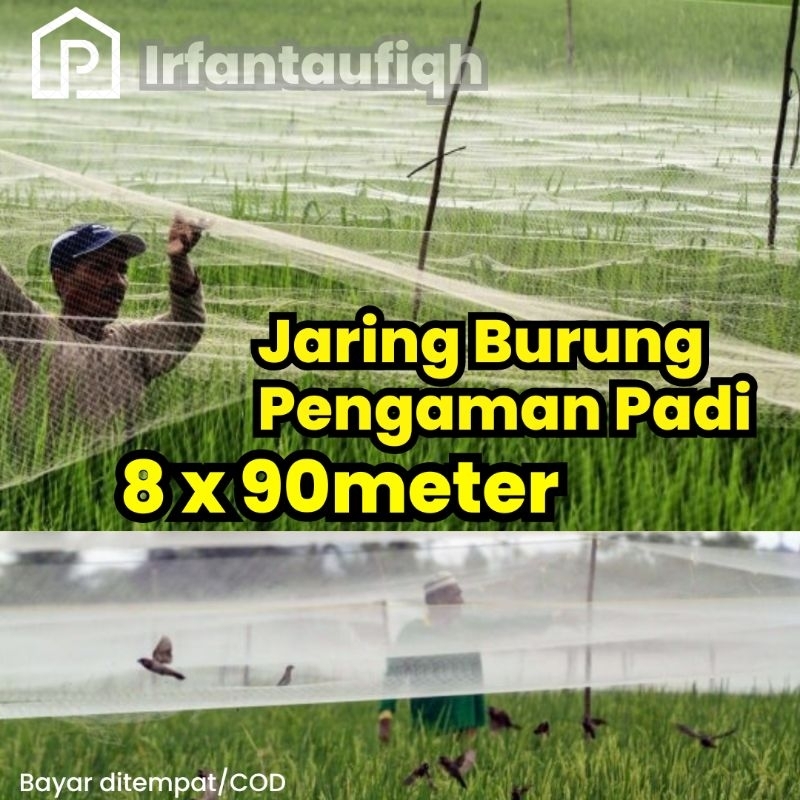 Jual Jaring Burung Sawah Jaring Emprit Jaring Padi | Shopee Indonesia