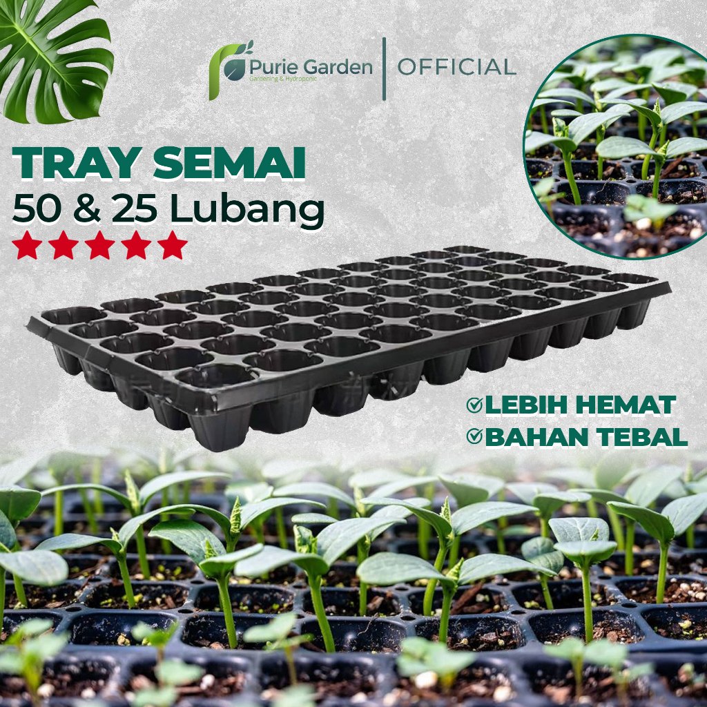 Jual Tray Semai 50 Lubang Pot Tray Penyemaian Bibit Tanaman PG SBY ...