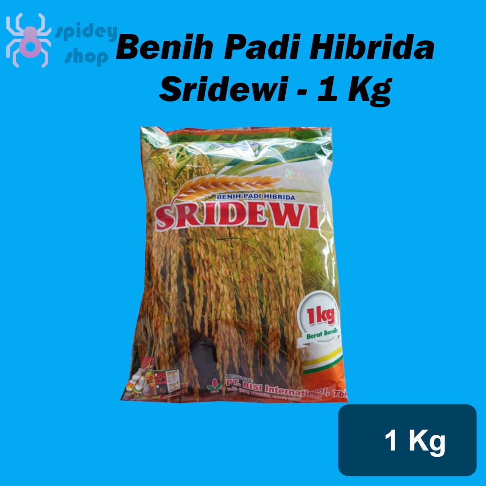 Jual Benih Padi Hibrida Intani 602 Sri Dewi 1 Kg | Shopee Indonesia