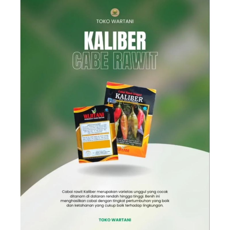 Jual Benih Cabe Rawit Unggul Kaliber | Shopee Indonesia