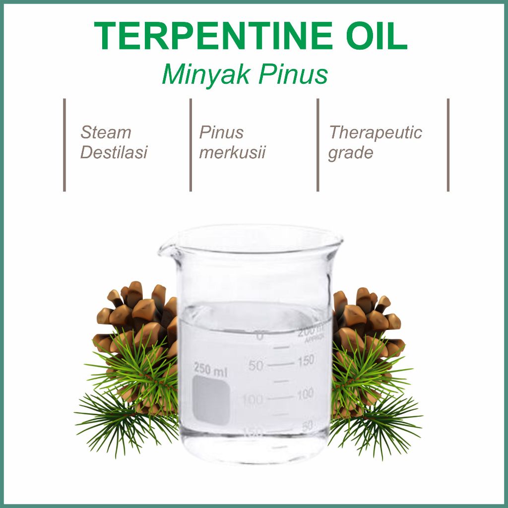 Jual 1 liter terpentine oil minyak terpen pine pinus atsiri murni 250ml ...