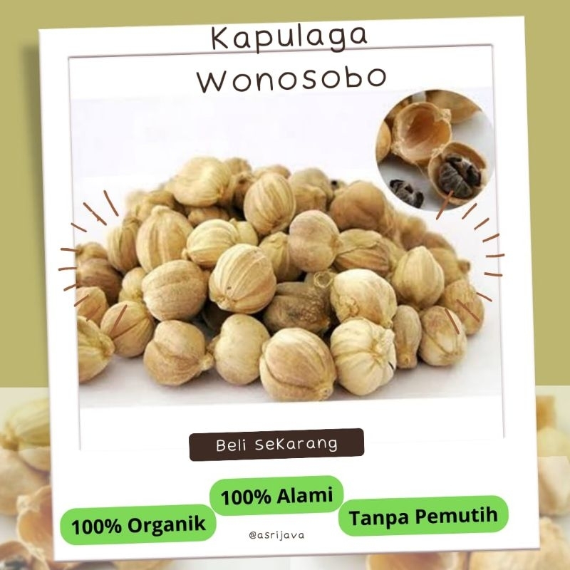 Jual Kapulaga Kering 1 kg 500 gram Rempah Lokal Wonosobo Putih Bersih ...