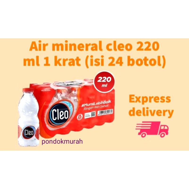 Jual Cleo Botol Mini Smart 220ml*24botol | Shopee Indonesia
