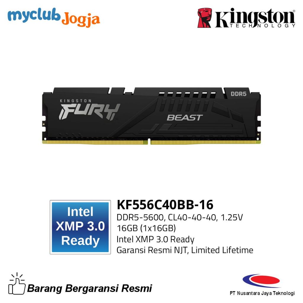 Jual RAM DDR5 16GB (16GBx1) 5600MHz XMP Kingston FURY Beast DDR5 ...