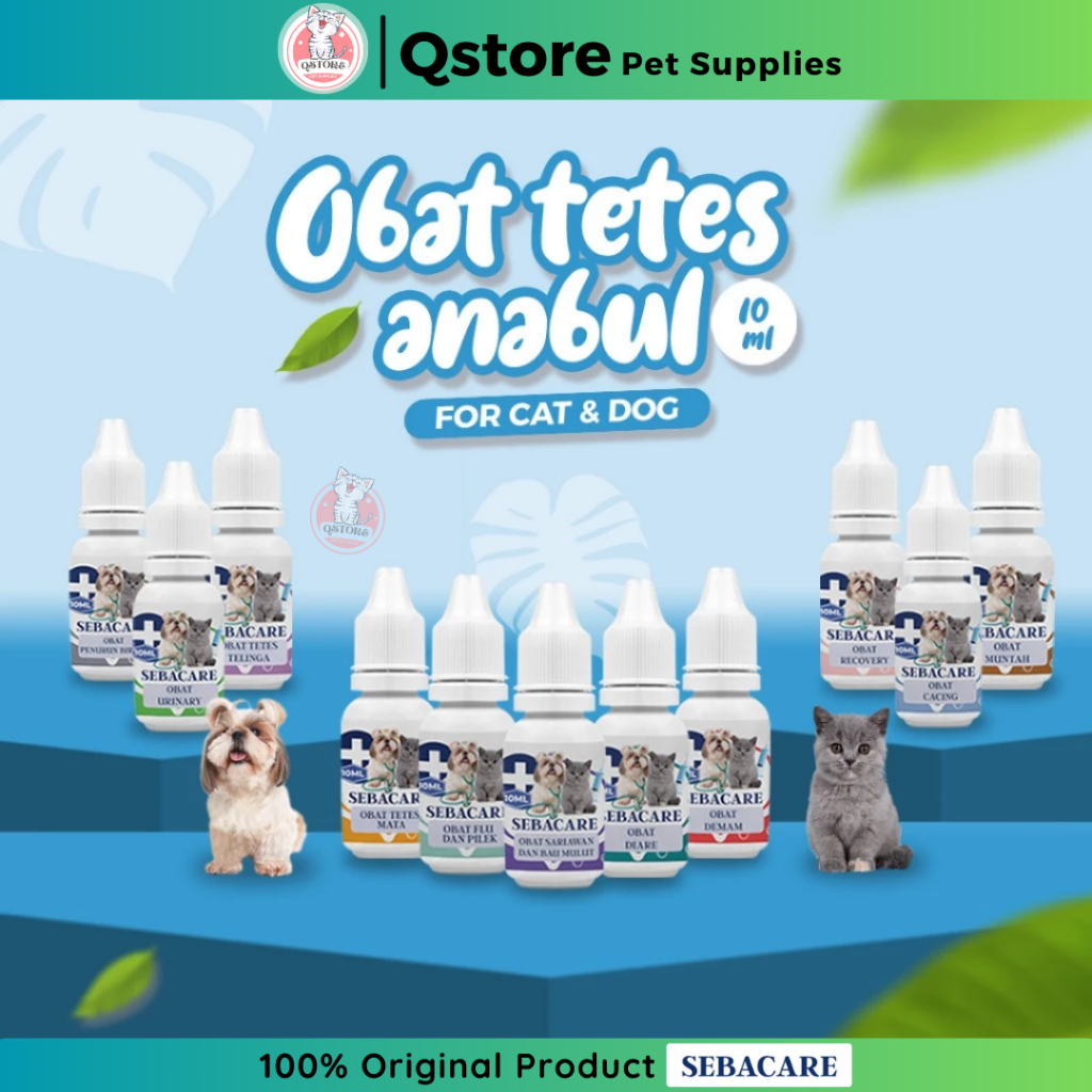 Jual SEBACARE Obat Segala Penyakit Kucing dan Anjing Aman Digunakan ...