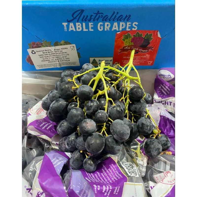 Jual [PREMIUM] Anggur Autumn Adora 1 kg – Manis, Fresh, Tanpa Biji ...