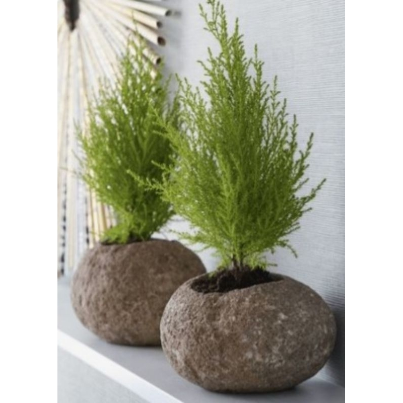 Jual pot bunga batu alam/batu sungai | Shopee Indonesia