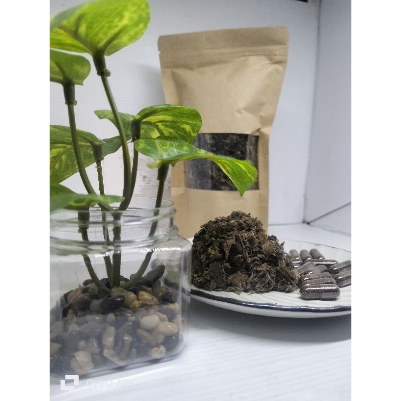 Jual Ramuan Teh & Biji-bijian Fistula Ani & Abses Parianal | Shopee ...