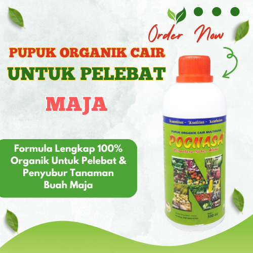 Jual Pupuk Organik Cair Pelebat Buah Maja Booster Tanaman Cepat Berbuah Penyubur Penguat Akar ...