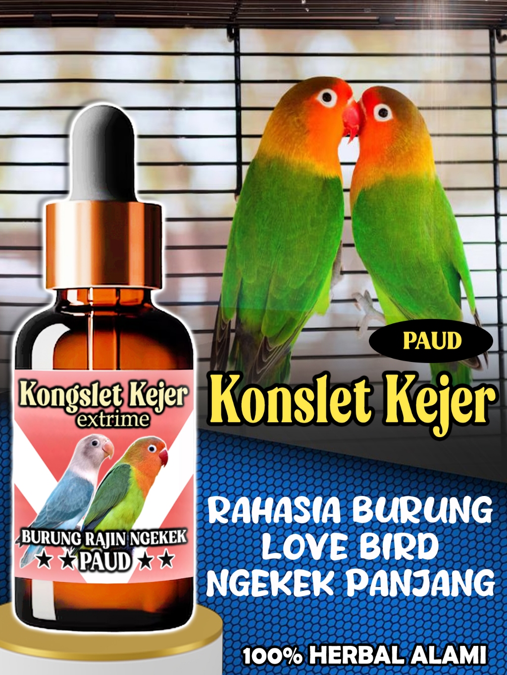 Jual [COD] Vitamin Penggacor Burung Lovebird Rajin Ngoceh / Obat Ngoceh ...