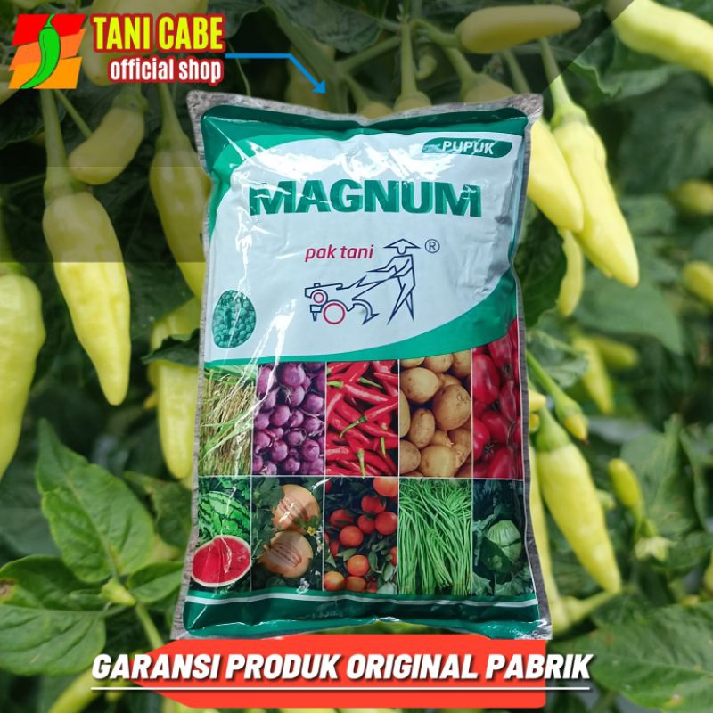 Jual PUPUK NPK MAGNUM BOSTER UMBI DAN BUAH PAK TANI ORIGINAL 1 KG ...