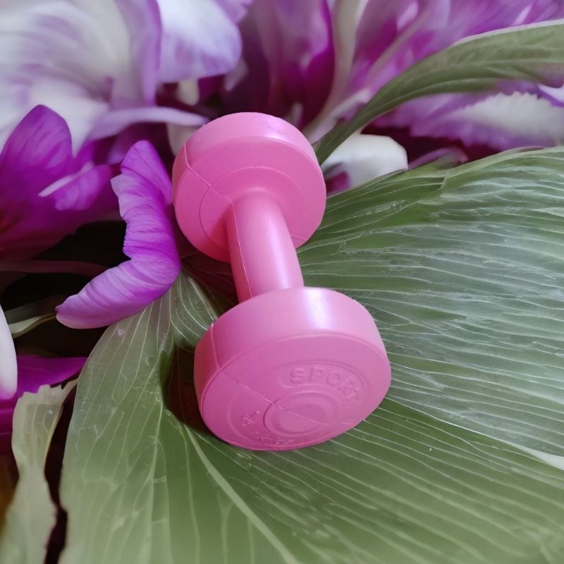 Jual dumbell 1kg pink free box packing | Shopee Indonesia