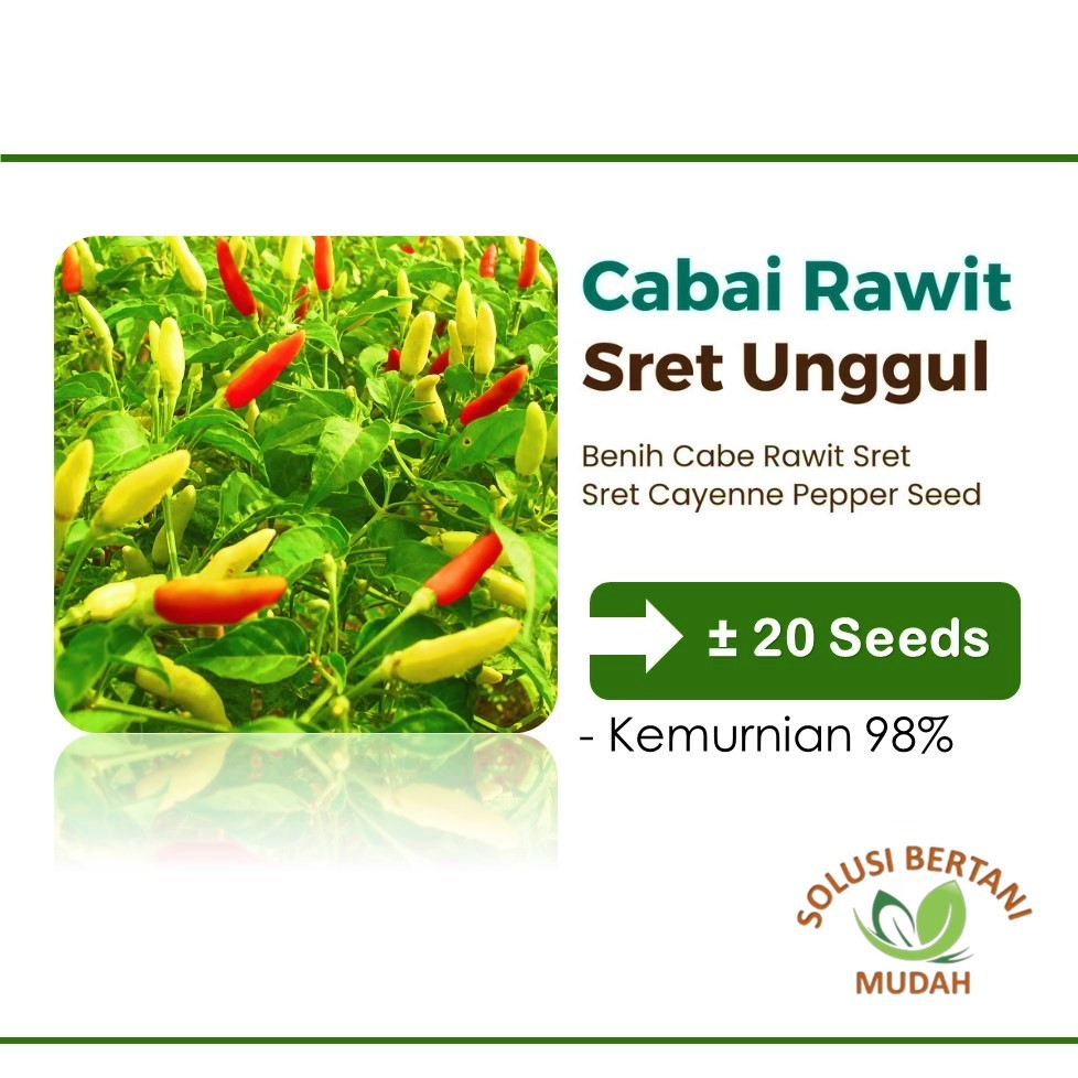 Jual 20 Benih Cabe Rawit Sret Unggul | Shopee Indonesia