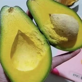 Jual Buah alpukat mentega butter Lampung 1 kg | Shopee Indonesia