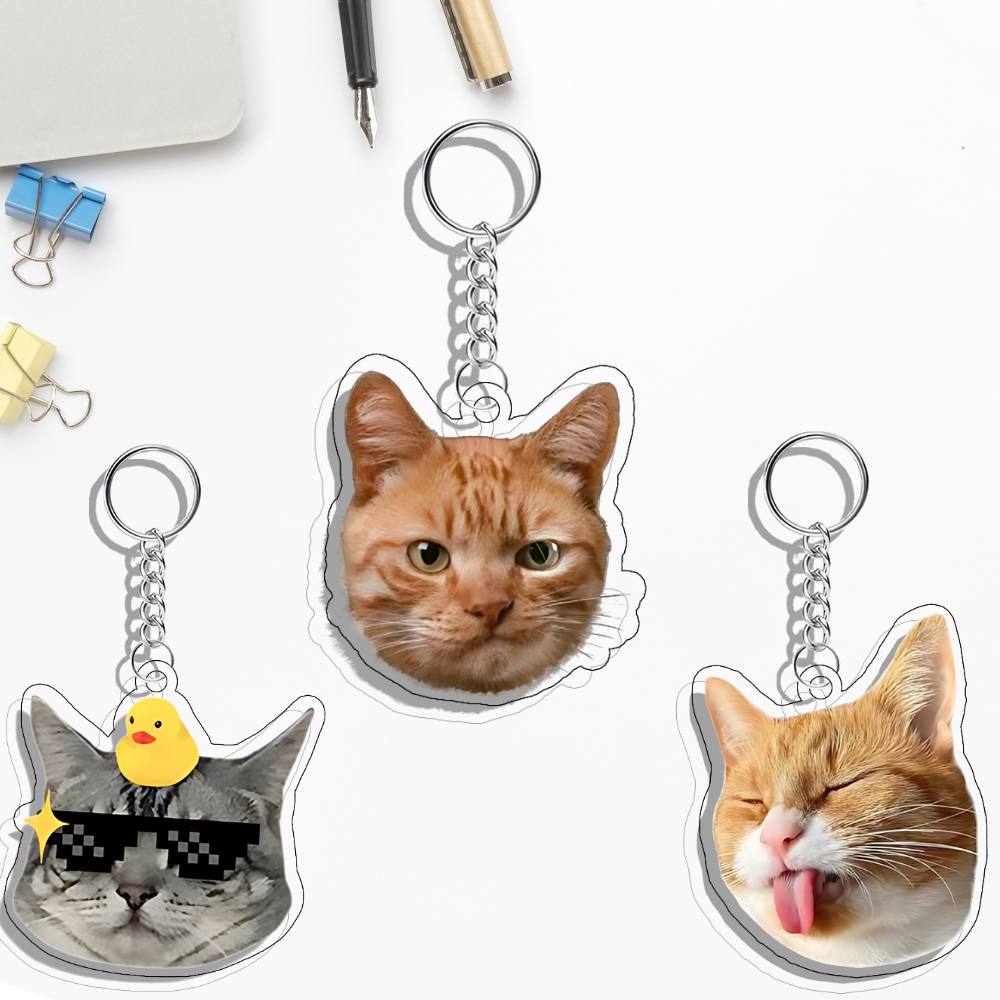 Jual MEME Cat Face Keychain | Gantungan Kunci MEME Muka Kucing Lucu UV ...