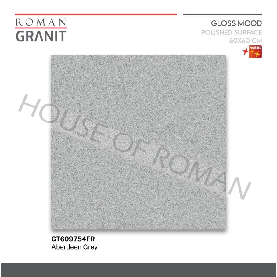 Jual ROMAN GRANIT Aberdeen Grey 60x60 GT609754FR ROMAN GRANIT | Shopee ...