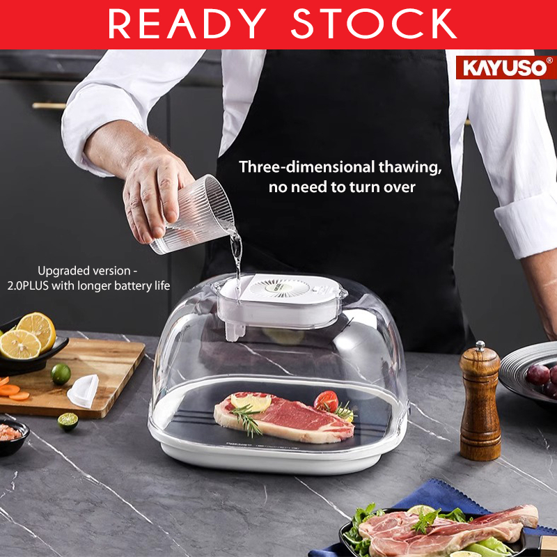 Jual KAYUSO German Thawing Artifact Multi-function Fully Automatic ...