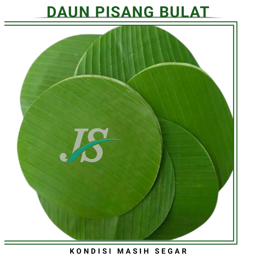 Jual Daun Pisang Bulat Segar ( 20 cm ISI 30 LEMBAR ) Daun Pisang Alas ...